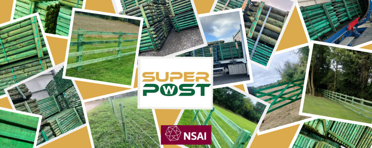 Super & Proper Post - Woodford Timber - The Pinnacle of Timber Products